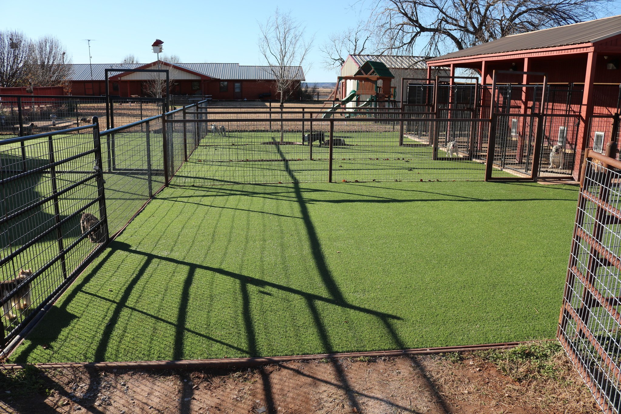 Enhance Your Dog Training Area with Artificial Turf - NexGen Lawns