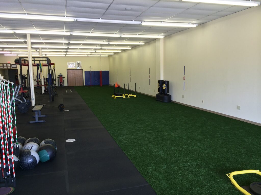 Get More with Indoor Grass from NexGen Lawns