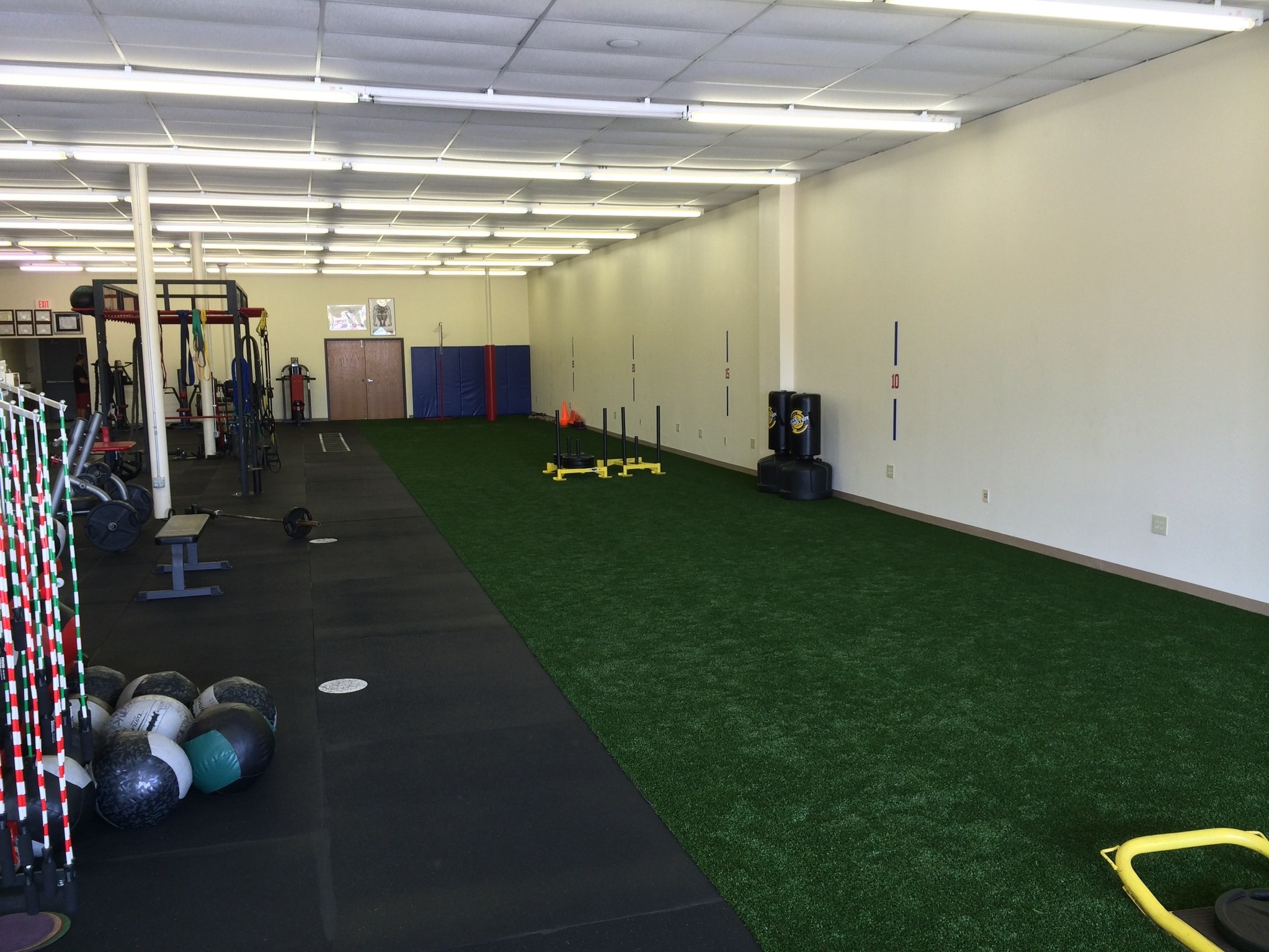Get More with Indoor Grass from NexGen Lawns